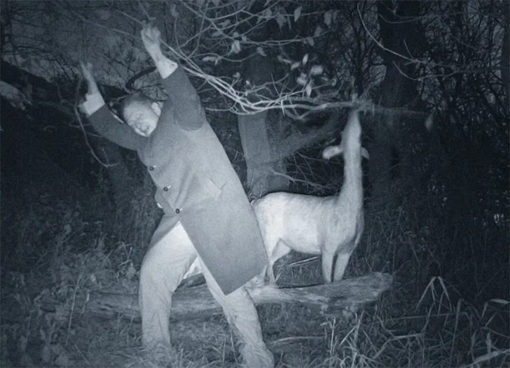 45 Jaw Dropping Animal Moments Caught on Trail Cam - Sport Pirate 45 Jaw Dropping Animal Moments Caught on Trail Cam - Sport Pirate